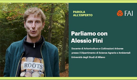 Video e Interviste dal Castello di Masino - Tre Giorni per il Giardino ...