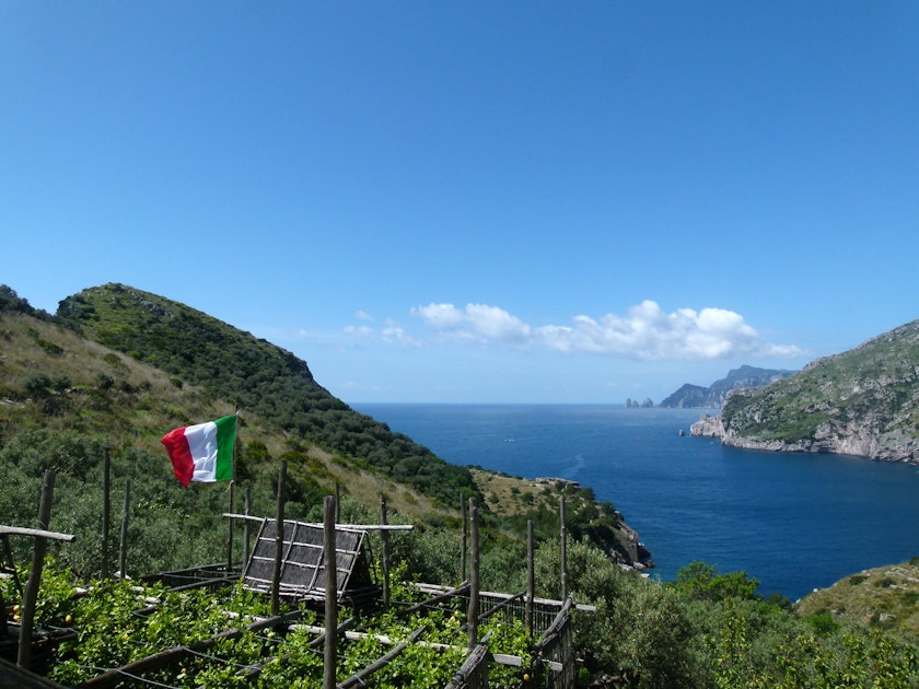 Seda Group festeggia il cinquantesimo compleanno del FAI confermando il ...